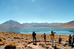 Piedras Rojas, Altiplanic Lagoons and the Atacama Salt Flats - South ...