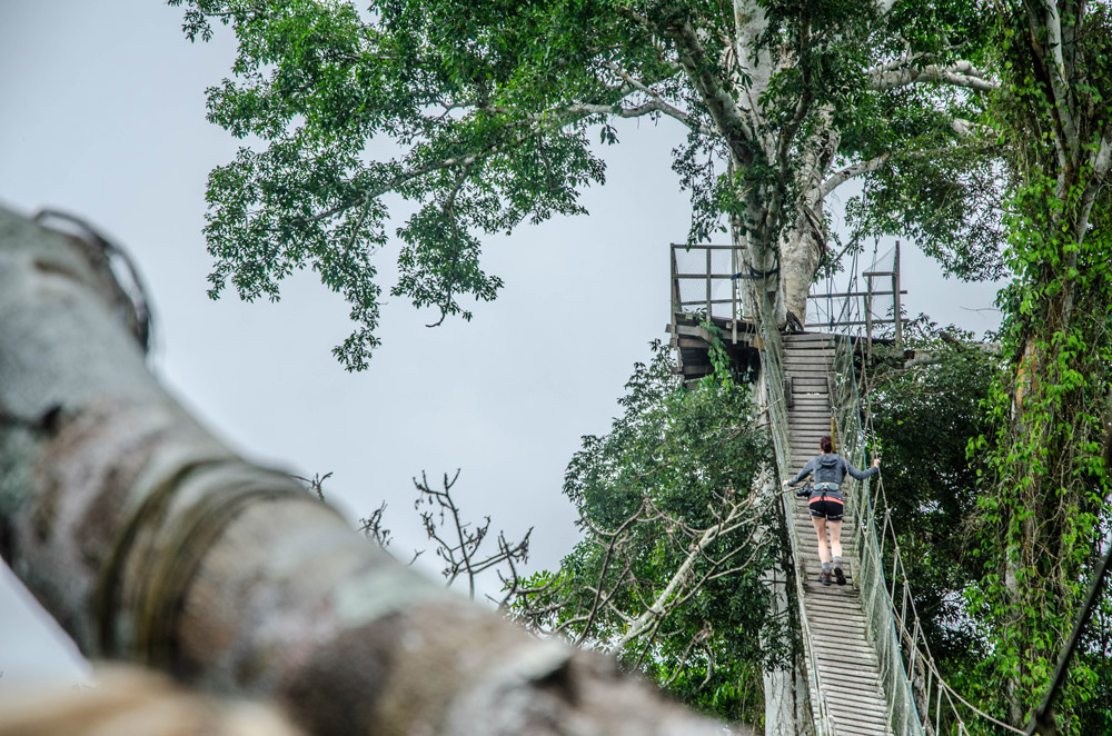 Monte amazonica Lodge, 4 days 3nights - South America Planet