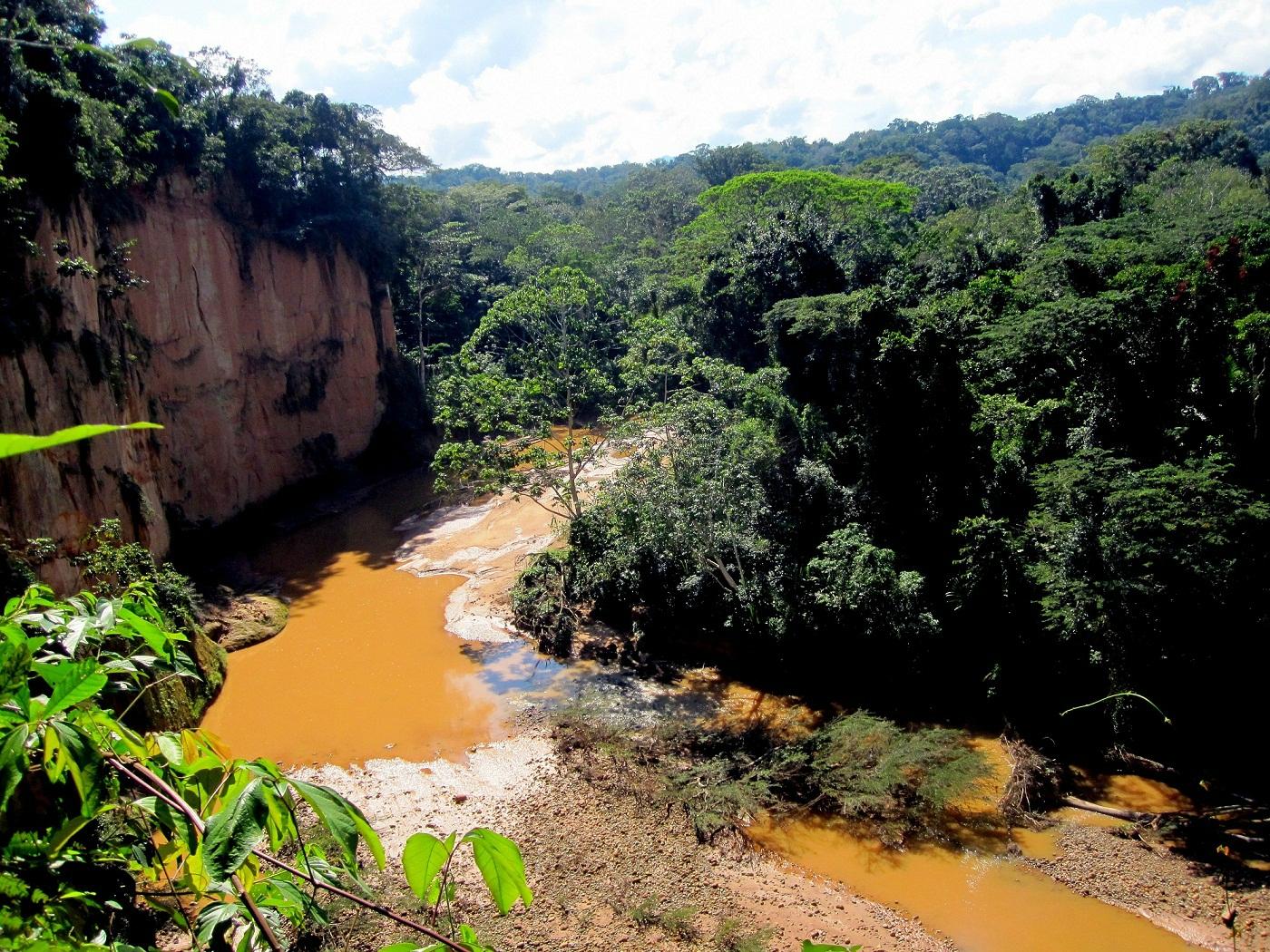 Madidi jungle Ecolodge 3 or 4 days - South America Planet